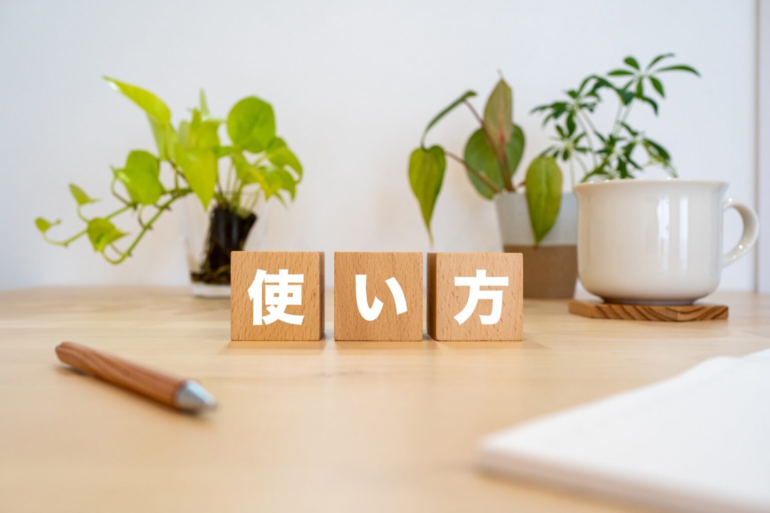 eBay SpeedPAK（ebay公式配送サービス） - Family Shipping Service